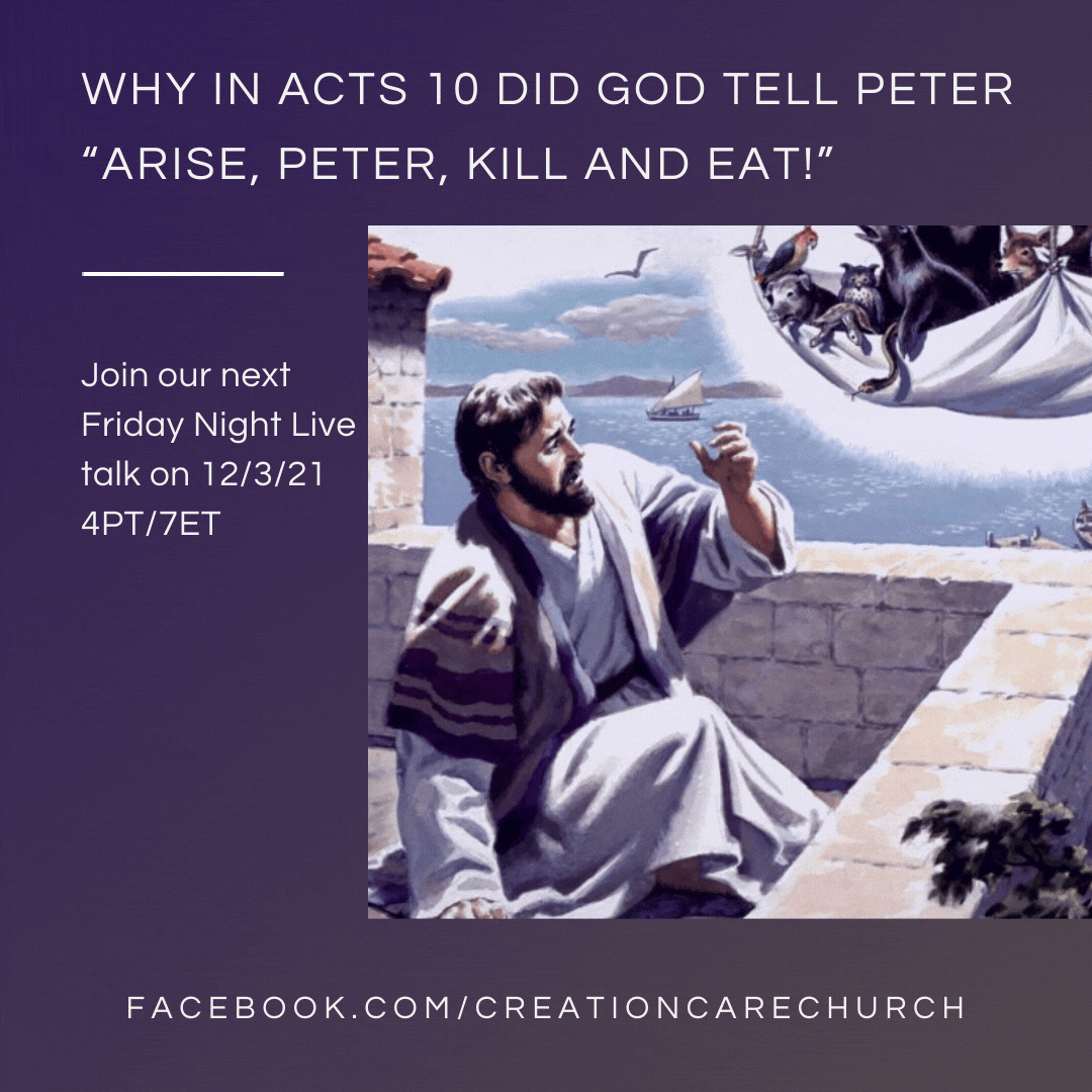 Why In Acts 10 Did God Tell Peter Arise Peter Kill And Eat Join Us