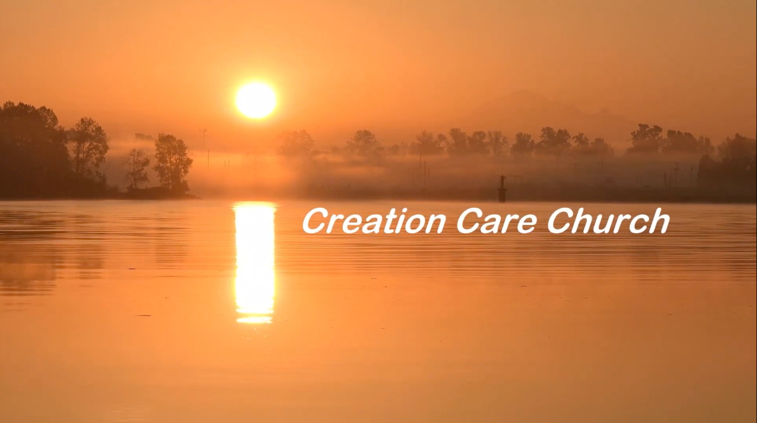 Who is Creation Care Church - Vegan Outreach Promo (video) - Creation ...